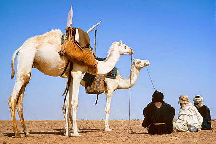 Fascinating Humanity: One Of My Old National Geographic Stories