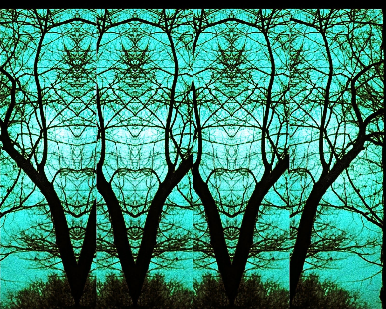 STEVEN EARL SELLARS STUDIO MILWAUKEE WISCONSIN