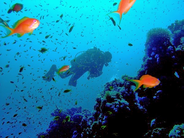 Scuba Tech Diving Centre, Cyprus: Buoyancy Basics Part 4: Breath Control