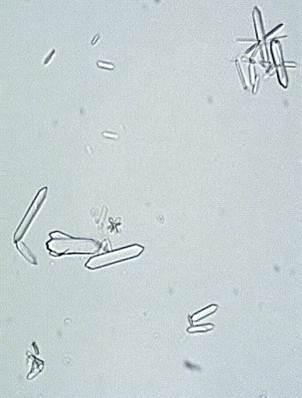 Blog Juruteknologi Makmal Perubatan @ MAD LAB BLOG: 2014
