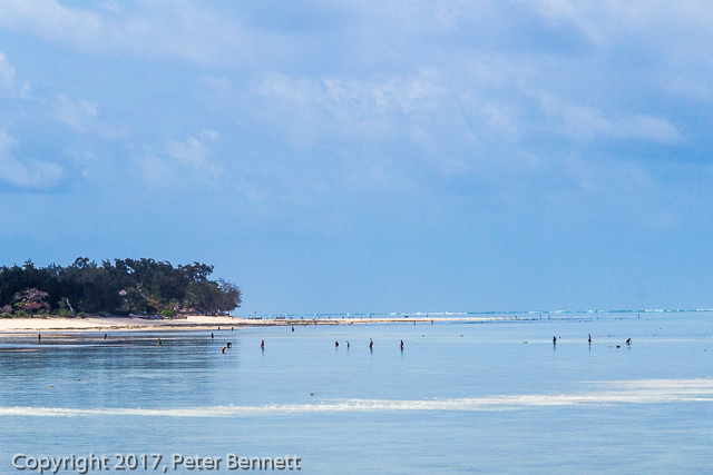 pwezapweza: Makunduchi shore