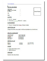 Mini Notlar: CV Örnekleri 10 Adet Resimli CV Örneği