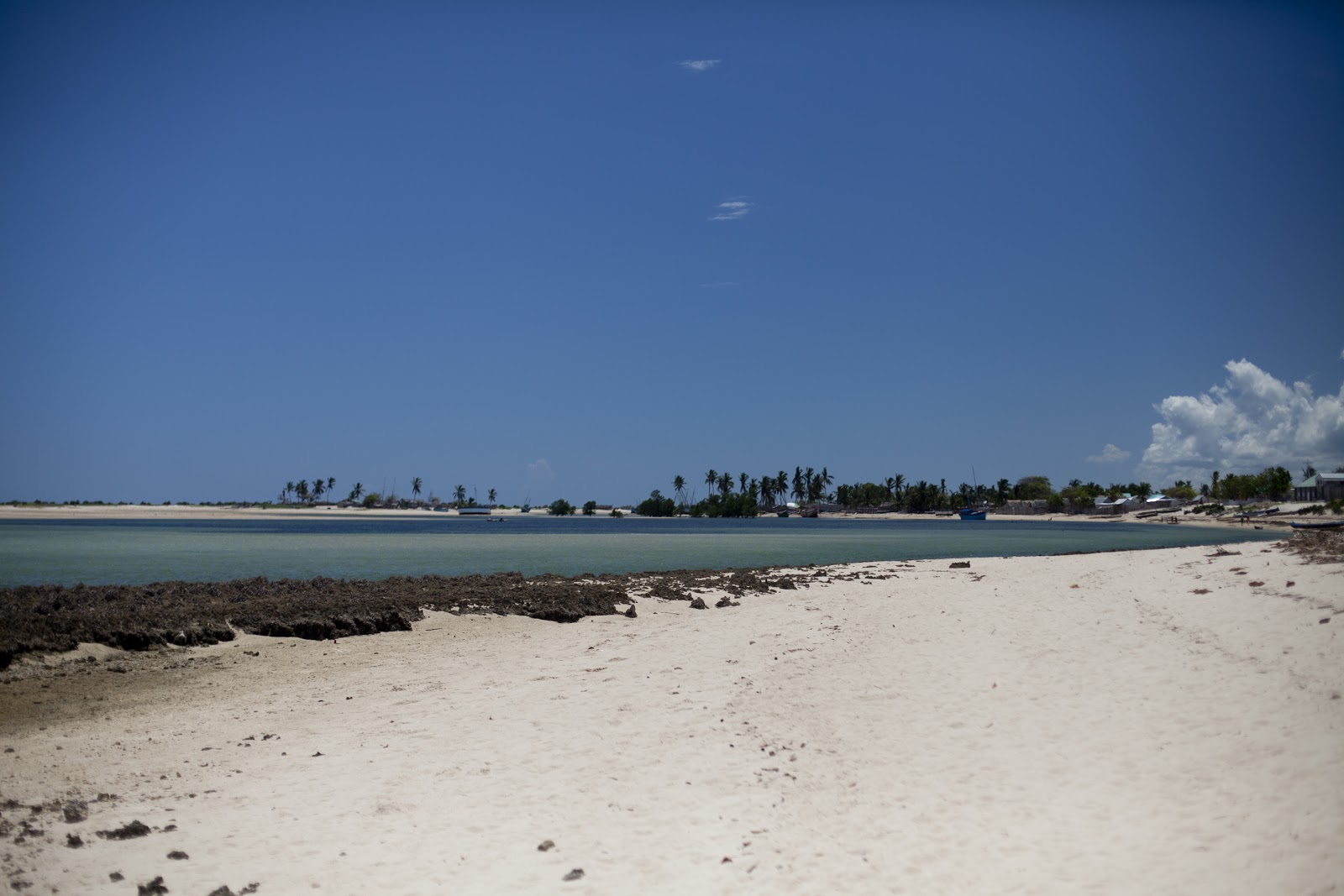 Portraits of the Planet: Madagascar: Belo sur Mer and Kirindy Metea ...