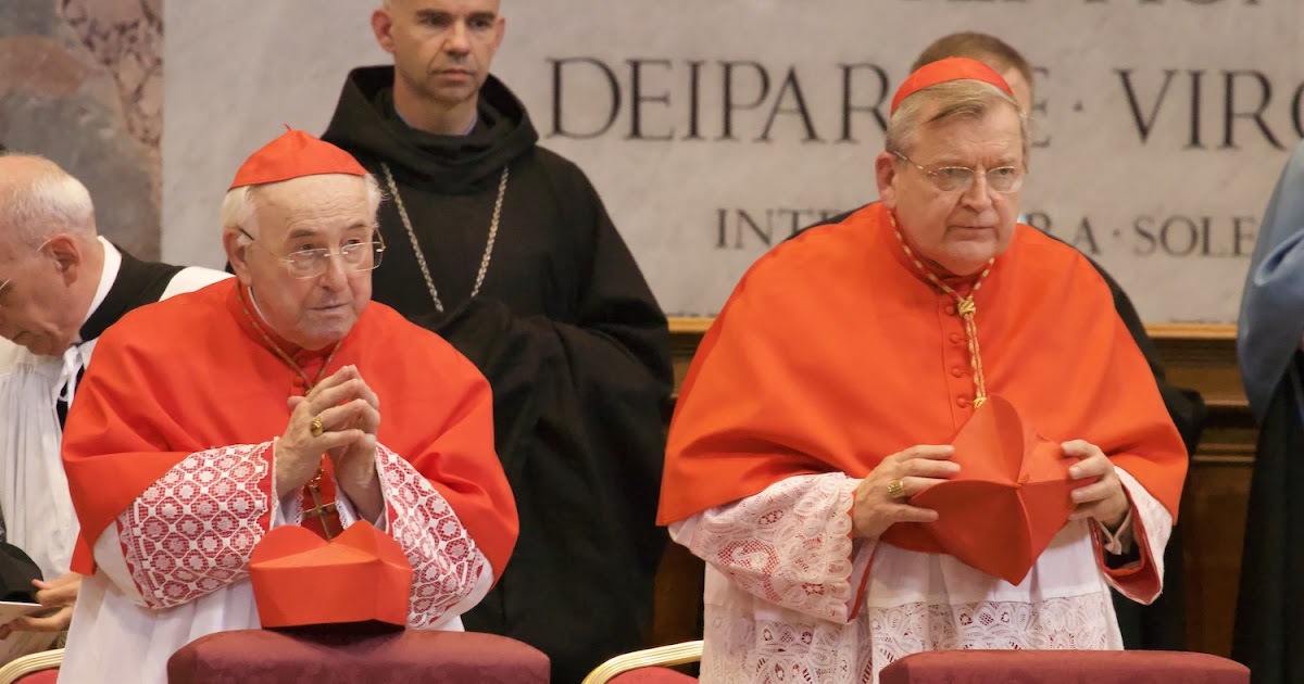 Mahound's Paradise: BREAKING: Cardinal Burke Makes "Final Plea" to Pope ...