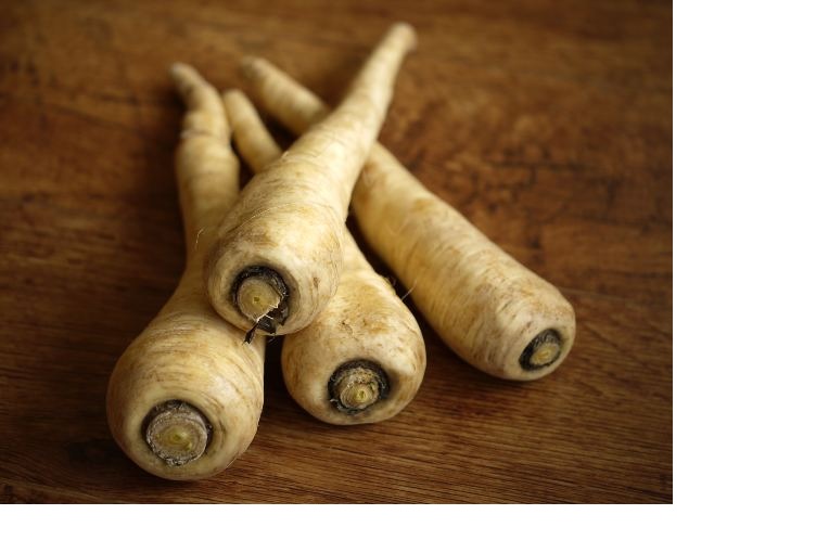 Student Survive 2 Thrive: White Fruits and Vegetables Interactive Game