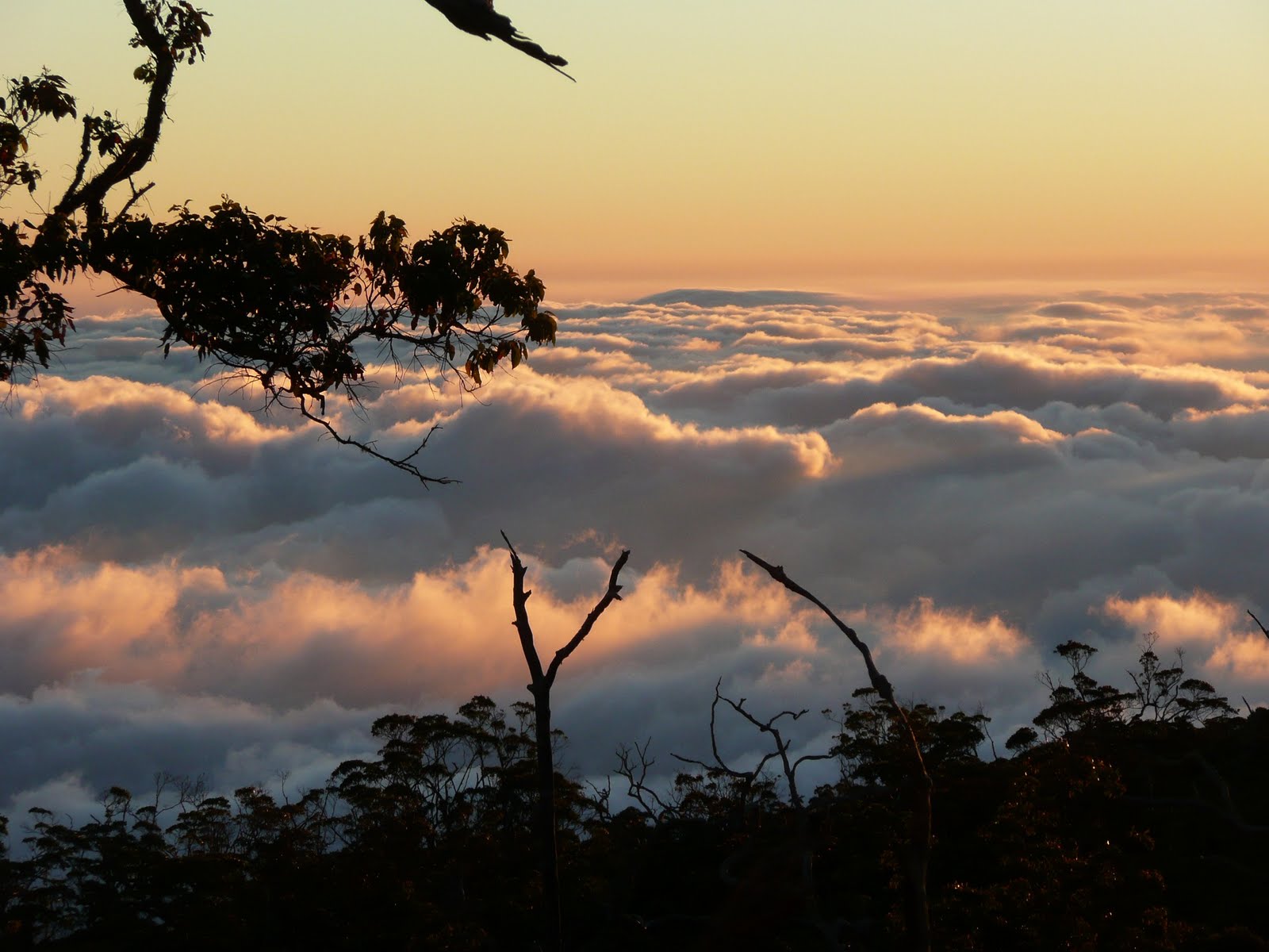 Mount Ramelau (2,963 m), the highest mountain in East Timor ~ Great ...
