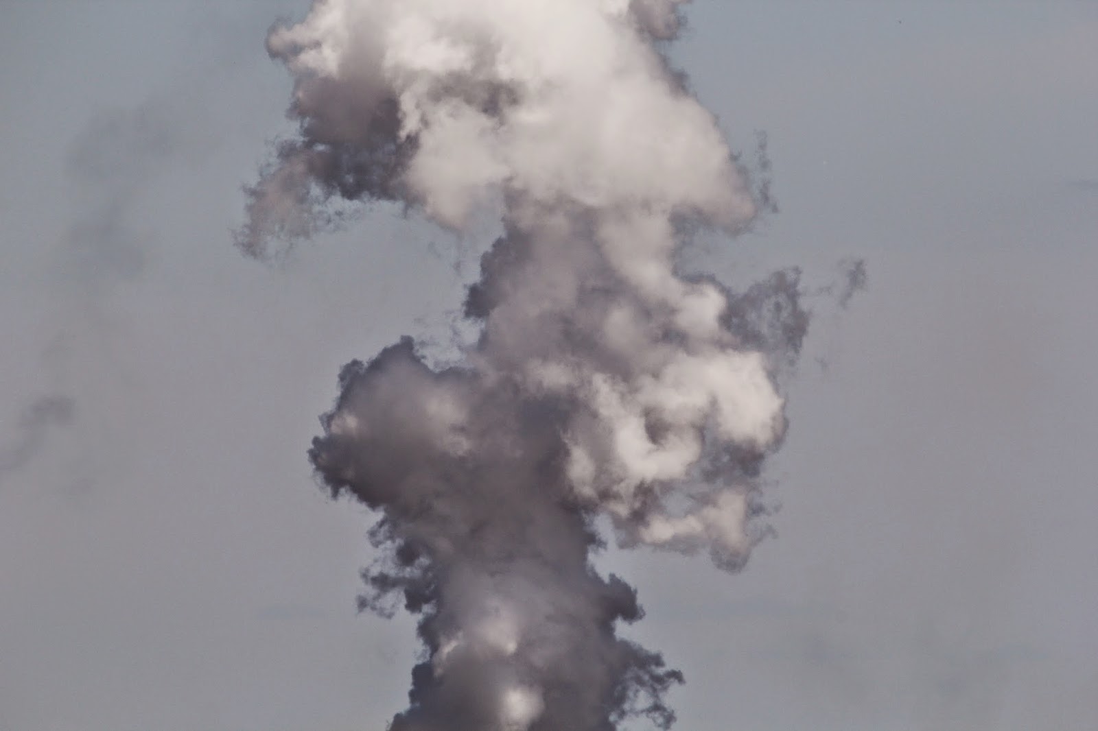 On the Journey of Recovery Post Workplace Abuse: Workplace Abuse: The ...