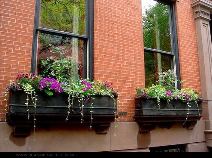 Renée Finberg ' TELLS ALL ' in her blog of her Adventures in Design ...