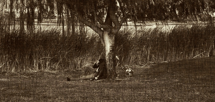 Ily Le Chic: Daniel Cross