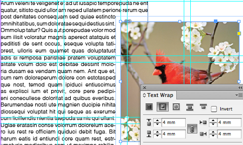 Design Practice: Indesign Workshop