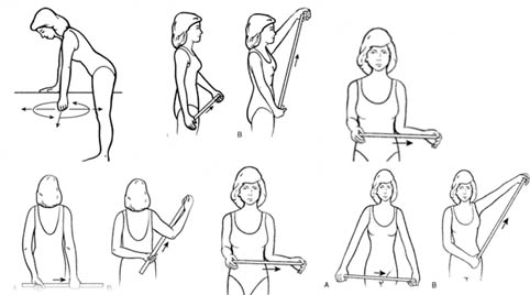 Ejercicios para el manguito de los rotadores ~ Alexandra Carrión