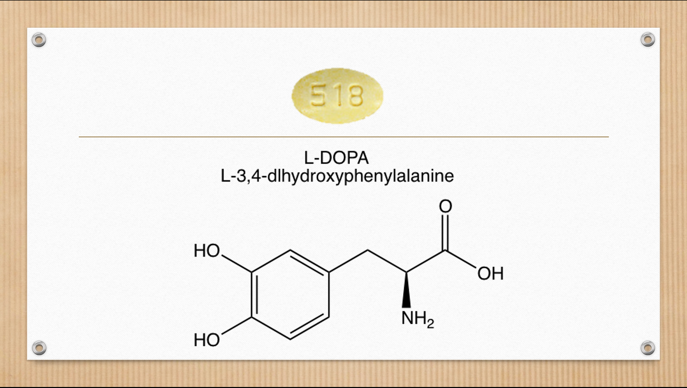 Squid Ink Waste: The Alternative for L-Dopa Raw Material ~ NOBODY'S PERFECT