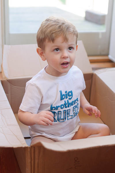 The Darts: Potty training