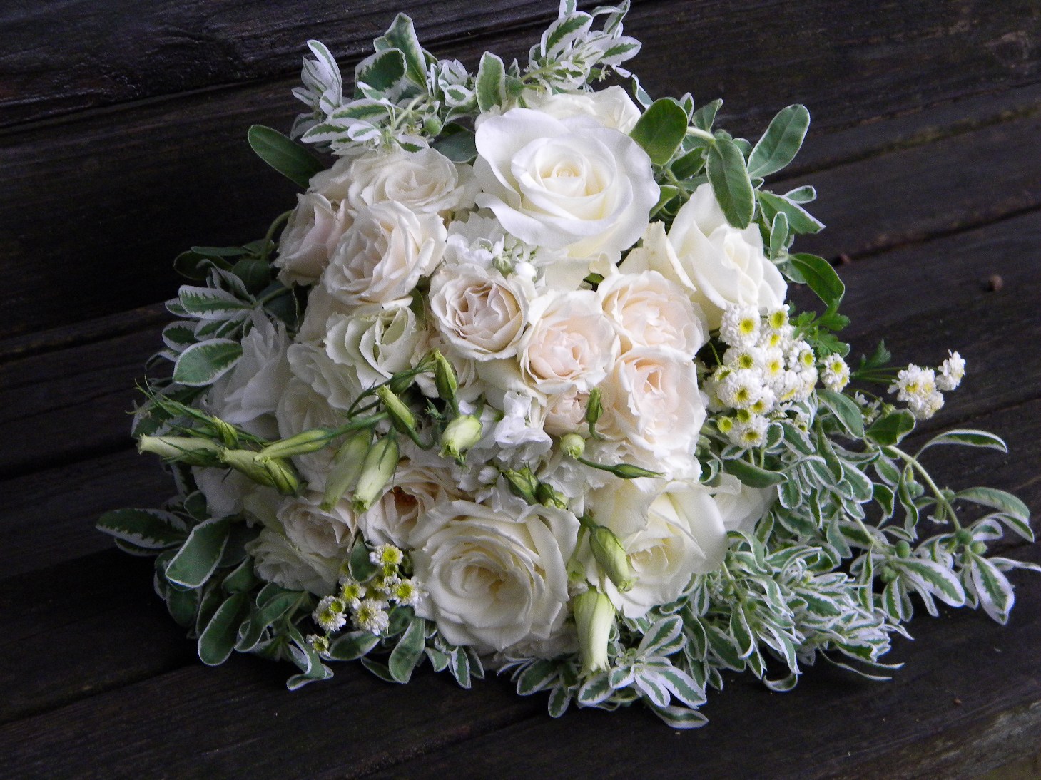 Wedding Flowers from Springwell: "Snow on the Mountain" and White Rose ...