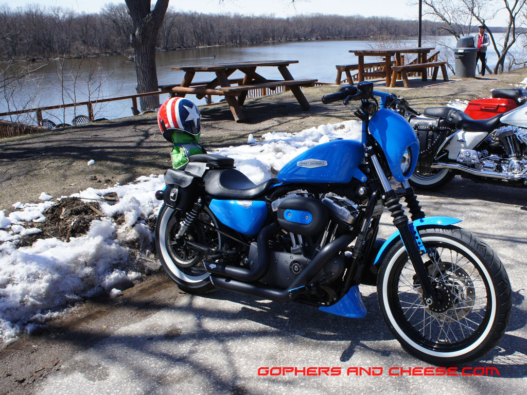 Gophers and Cheese: 2013.04