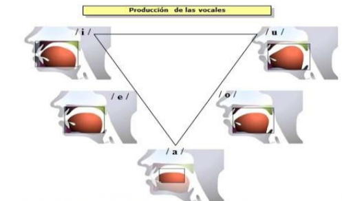 Procesos de Aprendizaje: CARPETA REFLEXIVA