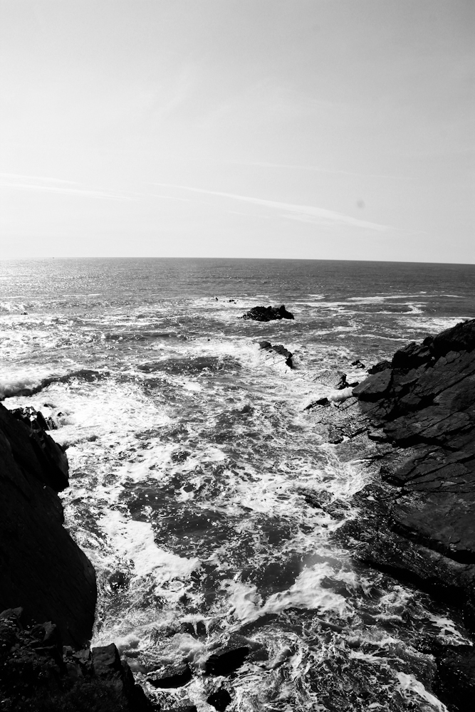 Rosa Fay Photography: Natural Forms