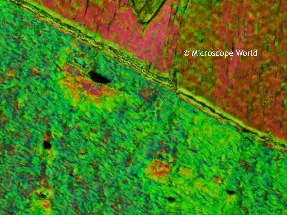 Microscope World Blog: Tremolite Under a Polarizing Microscope