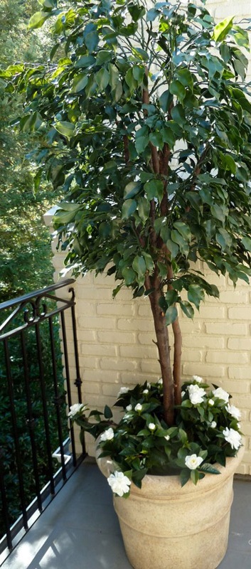 ENTIRELY DESIGN: Outdoor appeal is easy to obtain.