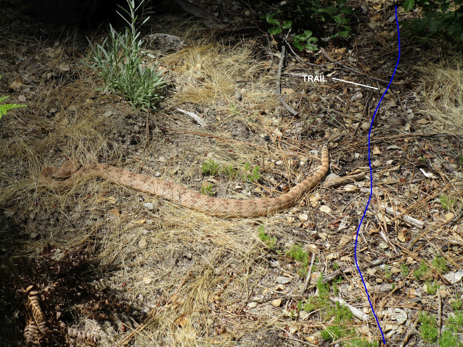Iron Hiker: Eagle Crag
