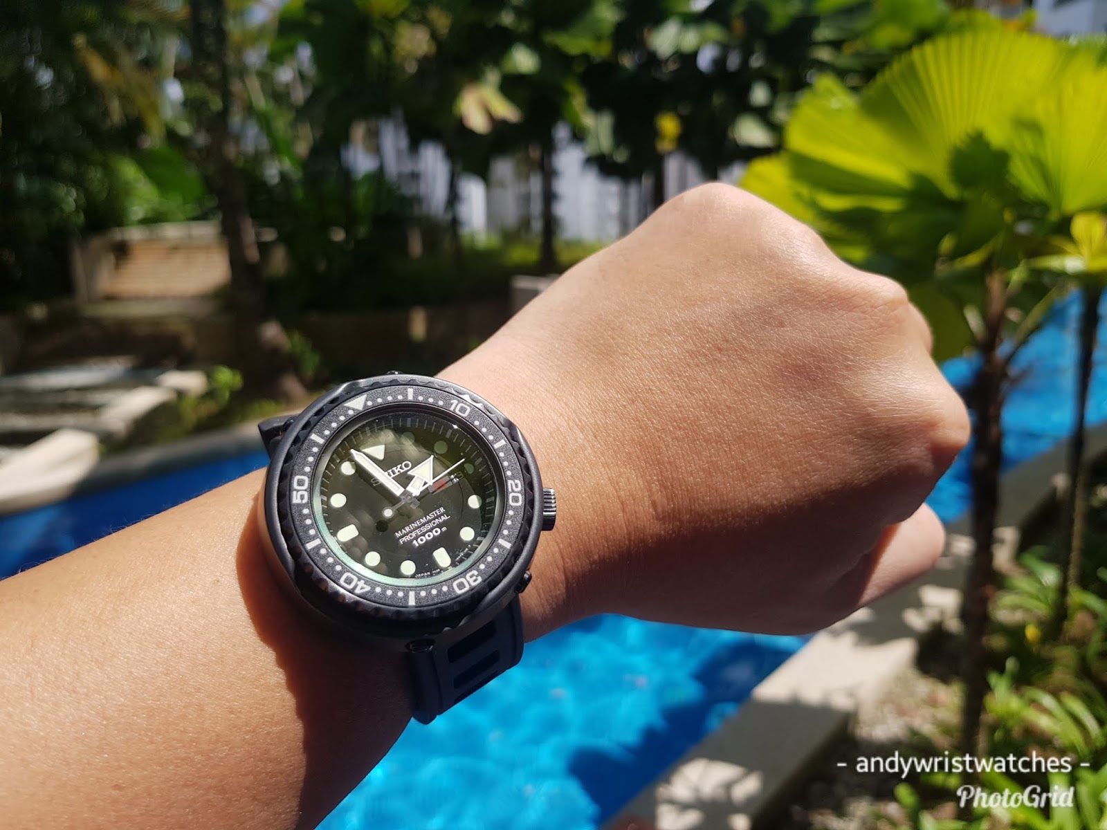 C-segment Wrist Watches: Seiko Trivia : Seiko Turtle "Apocalypse"
