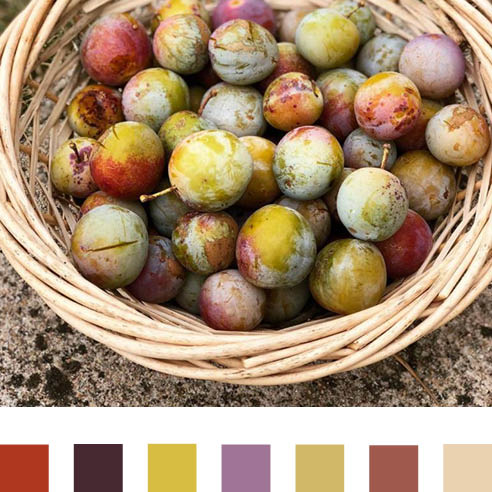 Diane Carnevale: Color inspiration—plums