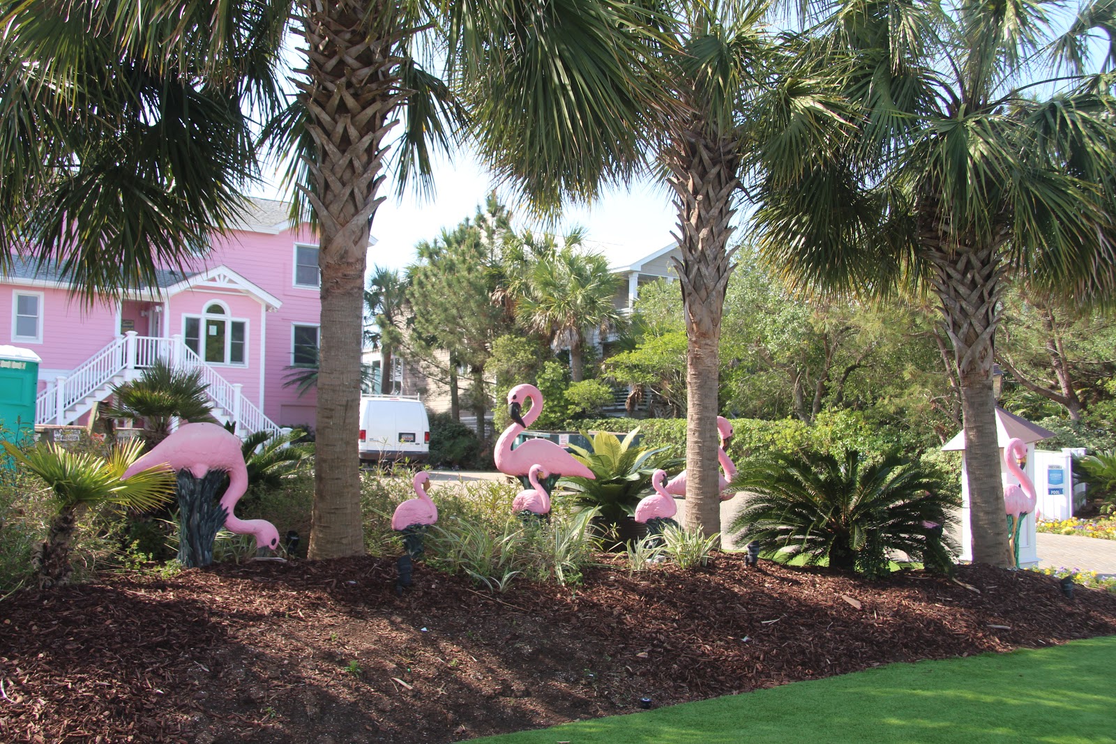 Vilia Adventures: Pink Flamingo house...