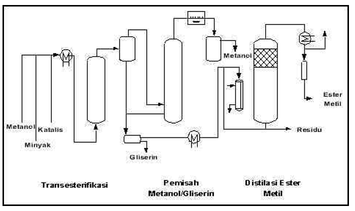 Metil Ester - handikaseptian