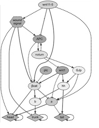 Science Buddies: Science as a Darwinian process