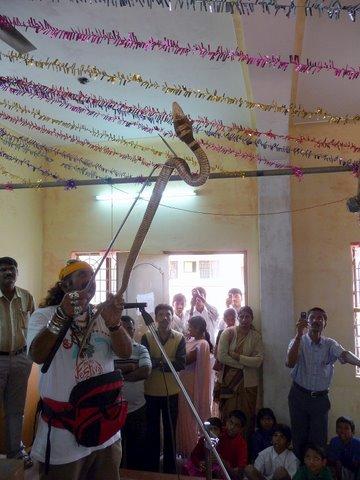 Snake Shyam : Snake Enthusiast, Wildlife Conservationist & Lecturer ...