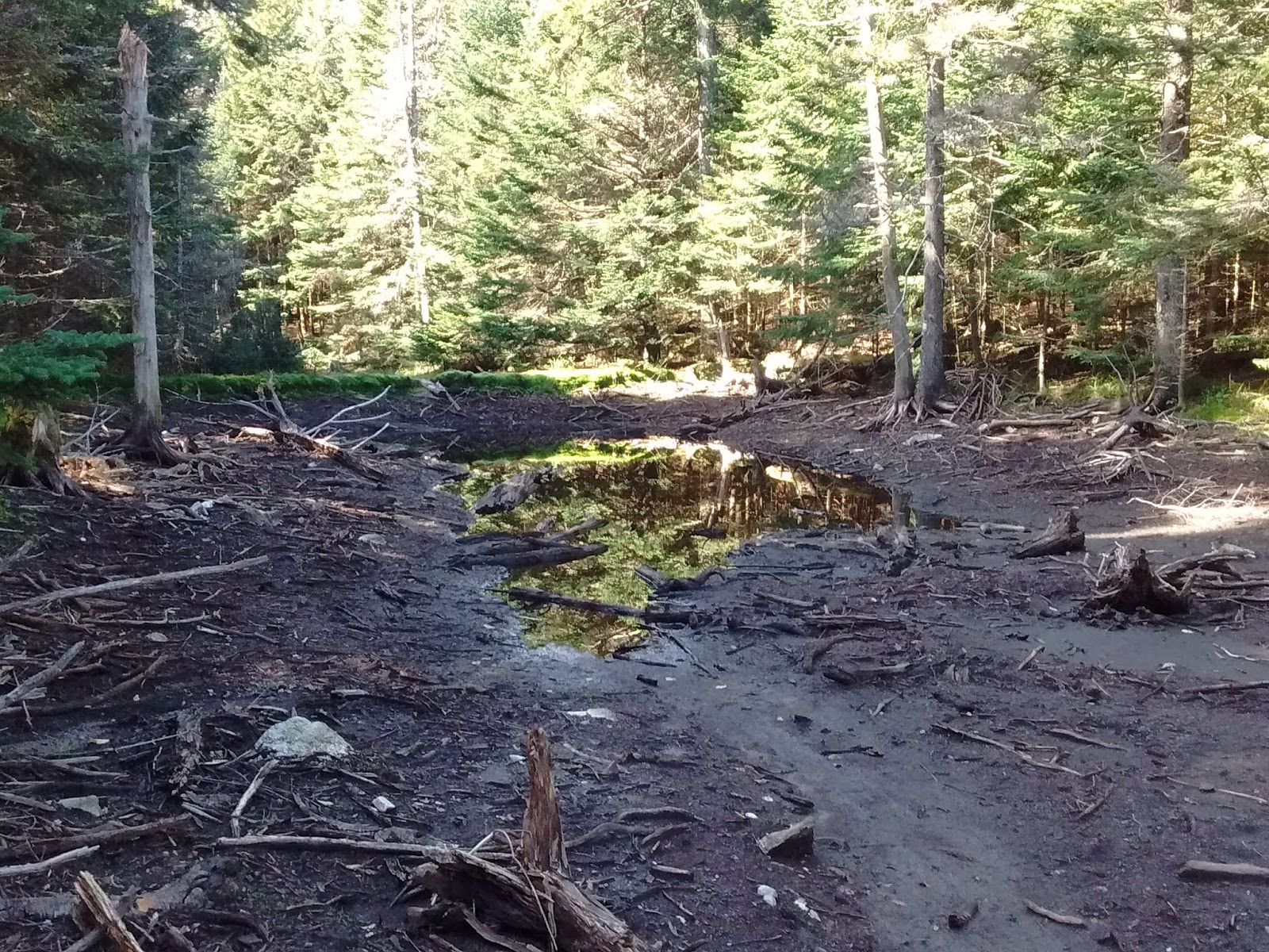 GLASTENBURY MOUNTAIN backpacking on the AT/LT in Vermont