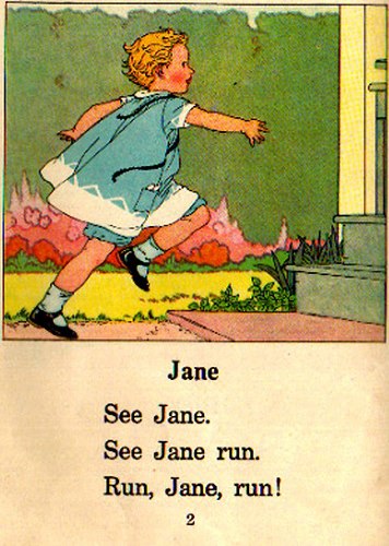 I Am Stacey Lynn: See Jane Run - The puzzle