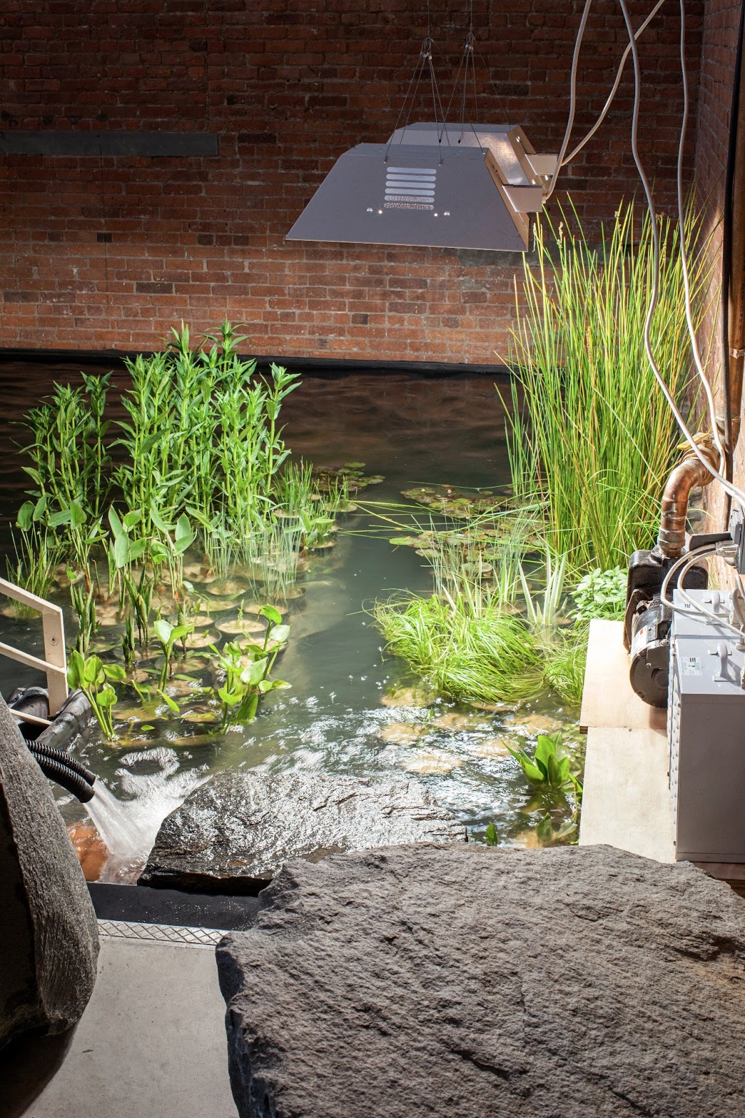 ecoartspace: Sue Spaid reviews Expo 1: New York, Dark Optimism at PS1 ...