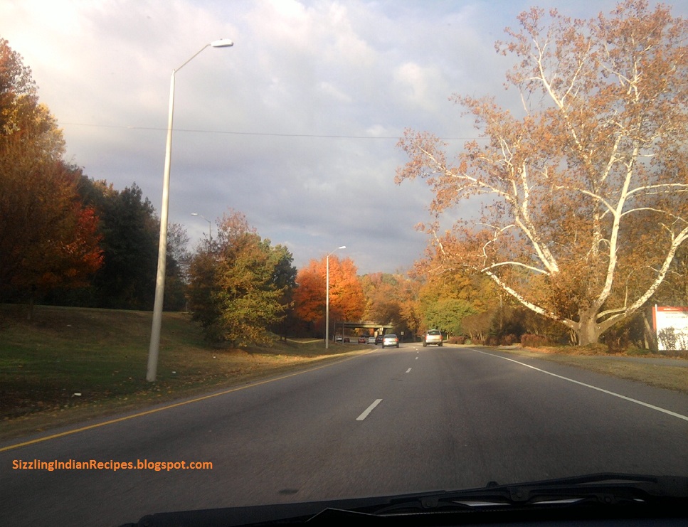 Sizzling Indian Recipes.....: An Autumn Day drive from Raleigh to Cary ...