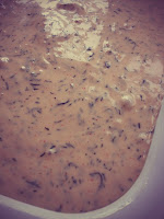 annika's apron : Swedish fish gratäng (Swedish Fish Pie)