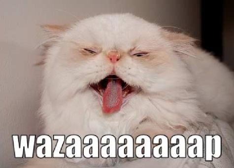 Me 'n more...: It's Meme-day!