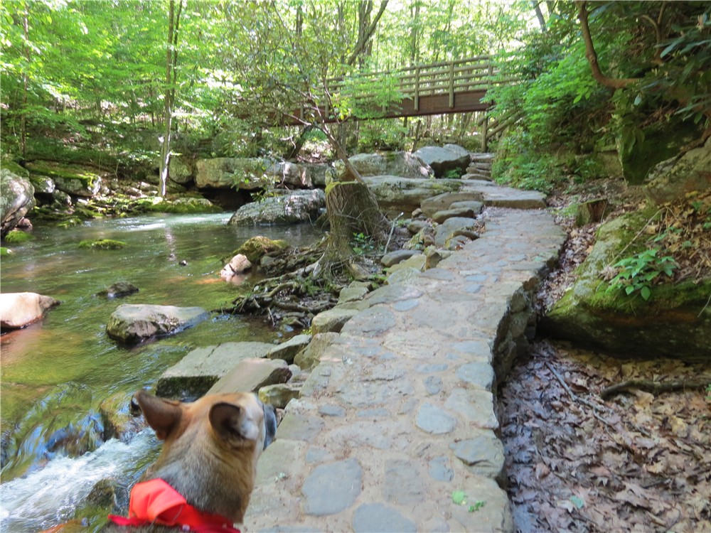 Gone Hikin': Jefferson National Forest, VA - Cascades and Barney's Wall