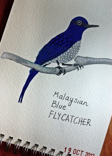 Such Pretty Canvas: 30 Sketches - Malaysian birds