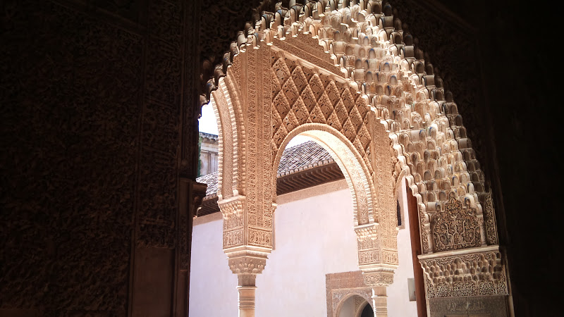 Sousies tägliche Gedanken