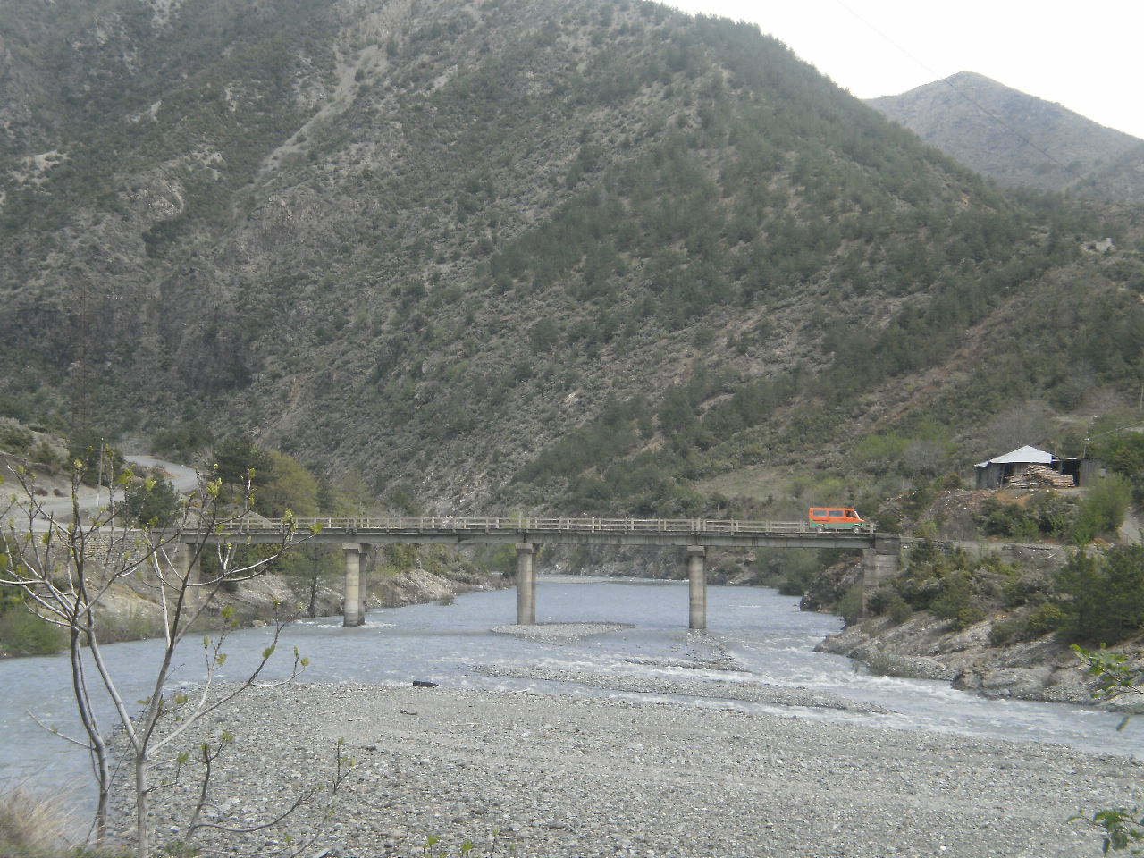 Forumi Pukjan: Rrethi i Pukes, muaji Shkurt 2012