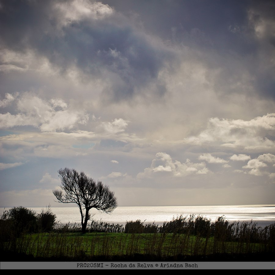 Trilho Rocha da Relva (PRC20SMI) - Part I | Photography & Experiences