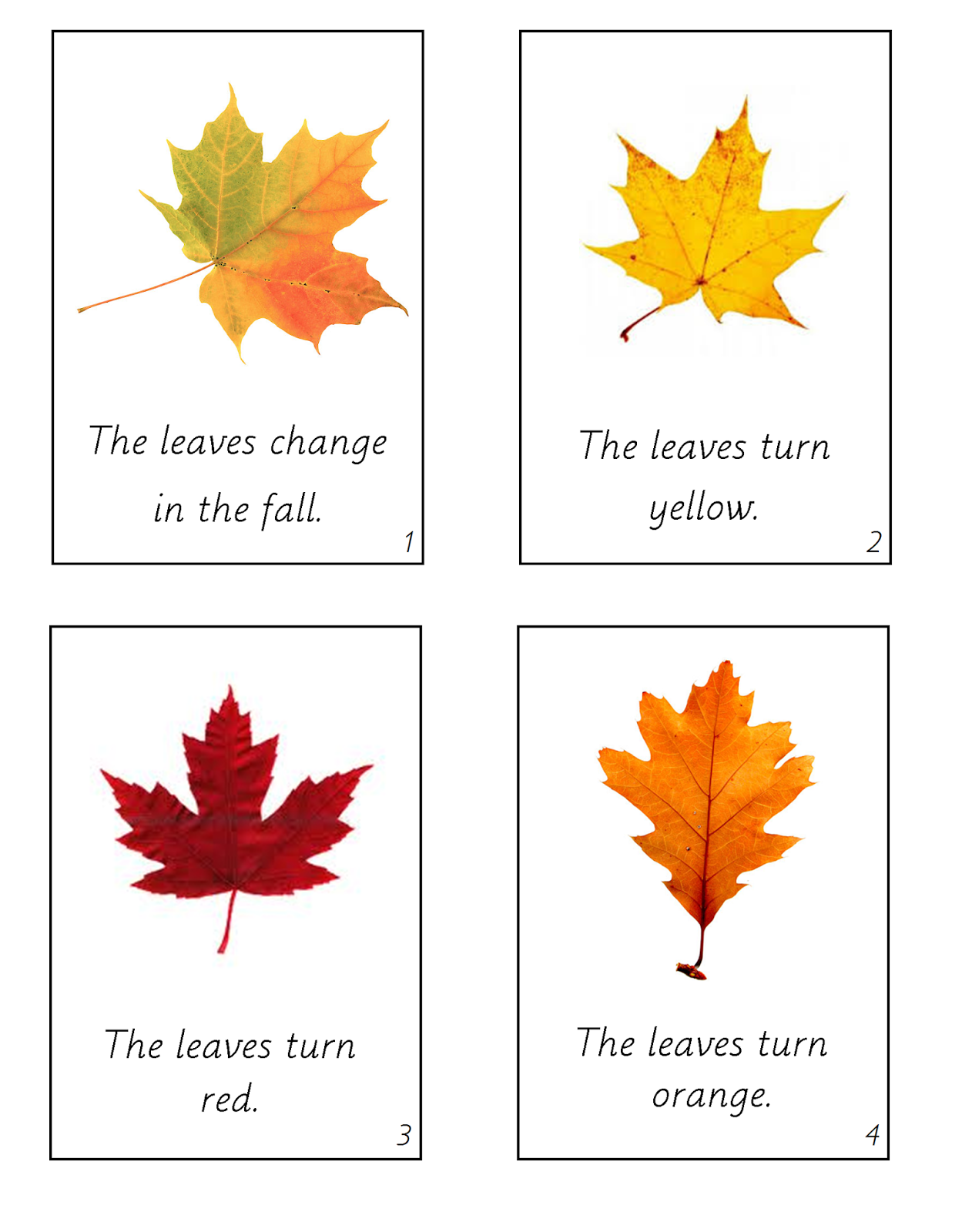 Free Printables! Autumn Sight Word & Counting Books! ~ Paper House