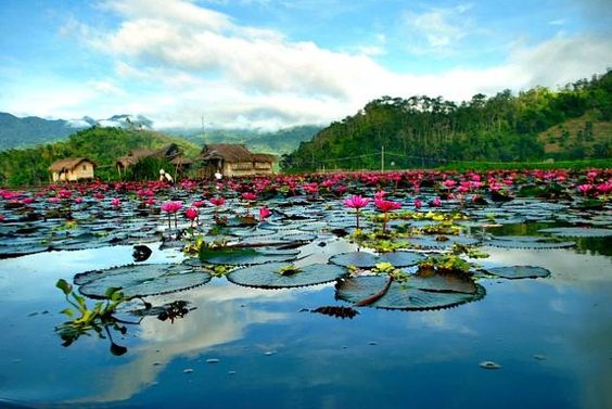 Best Philippines Place: Lake Sebu: The Most Scenic Lakes in Philippines