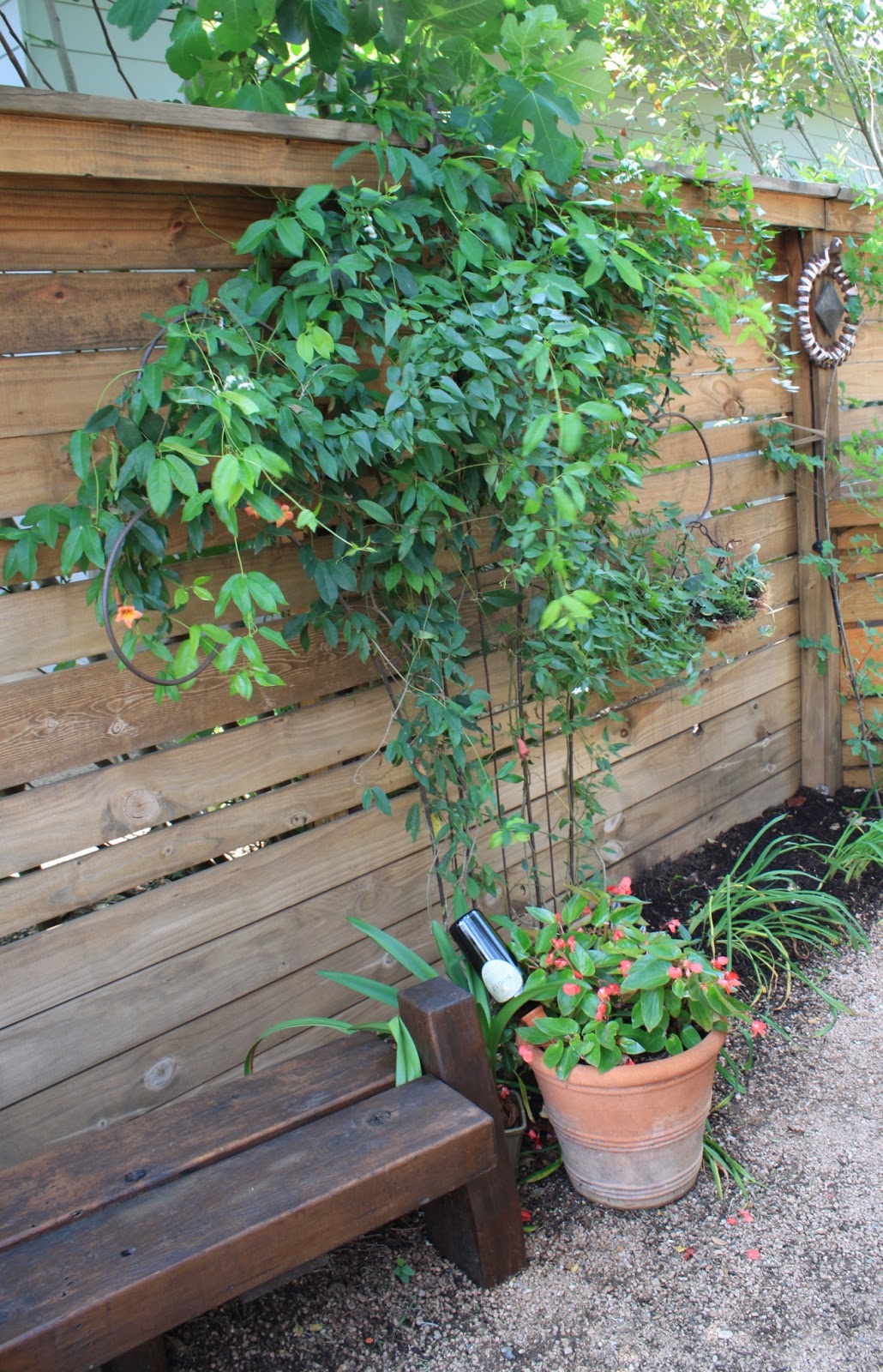 Rock-Oak-Deer: Gardens on Tour in Austin: Highland Terrace West Part 1