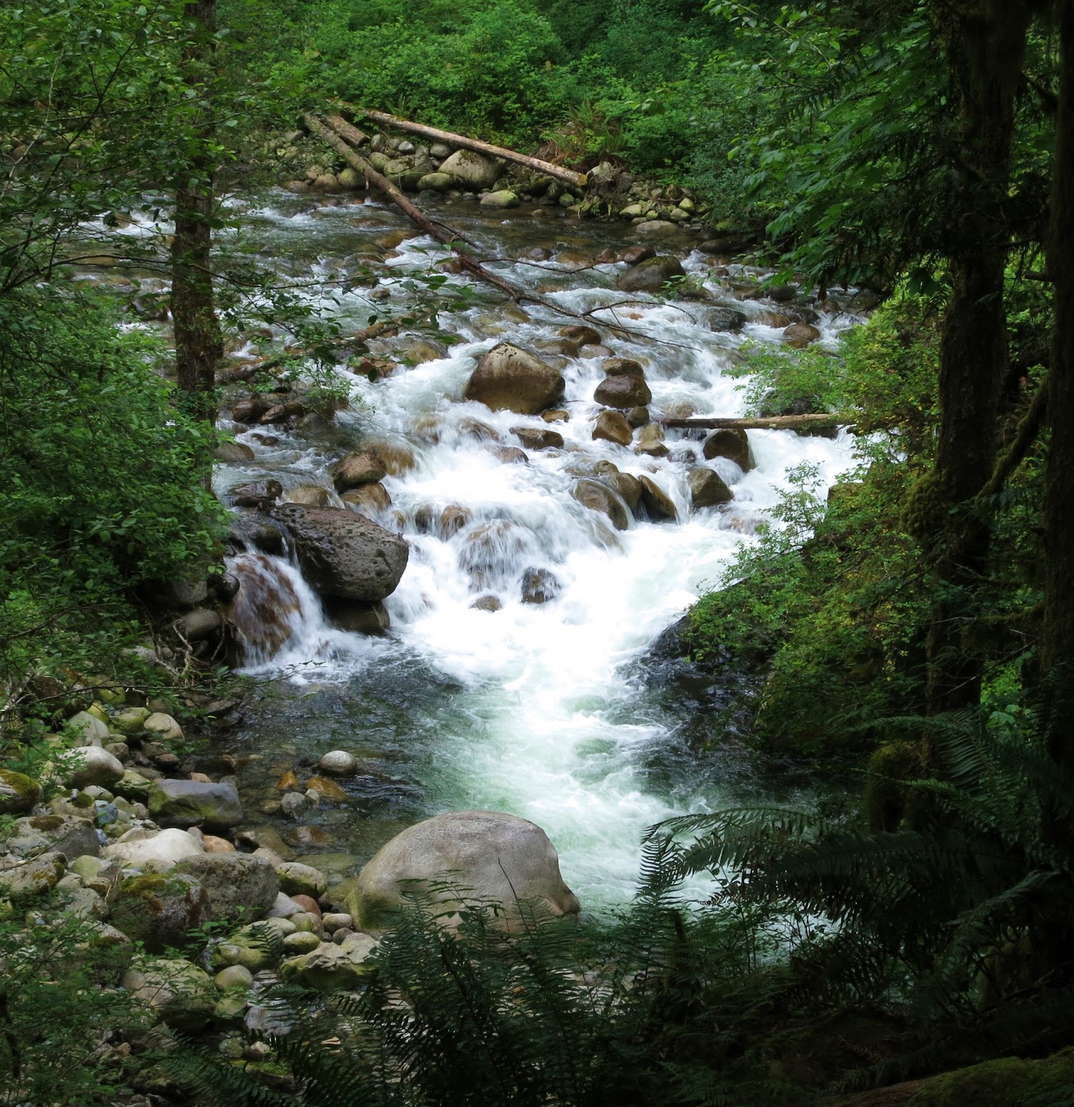 Pacific Northwest Seasons: Waterfall Hikes in the Pacific Northwest