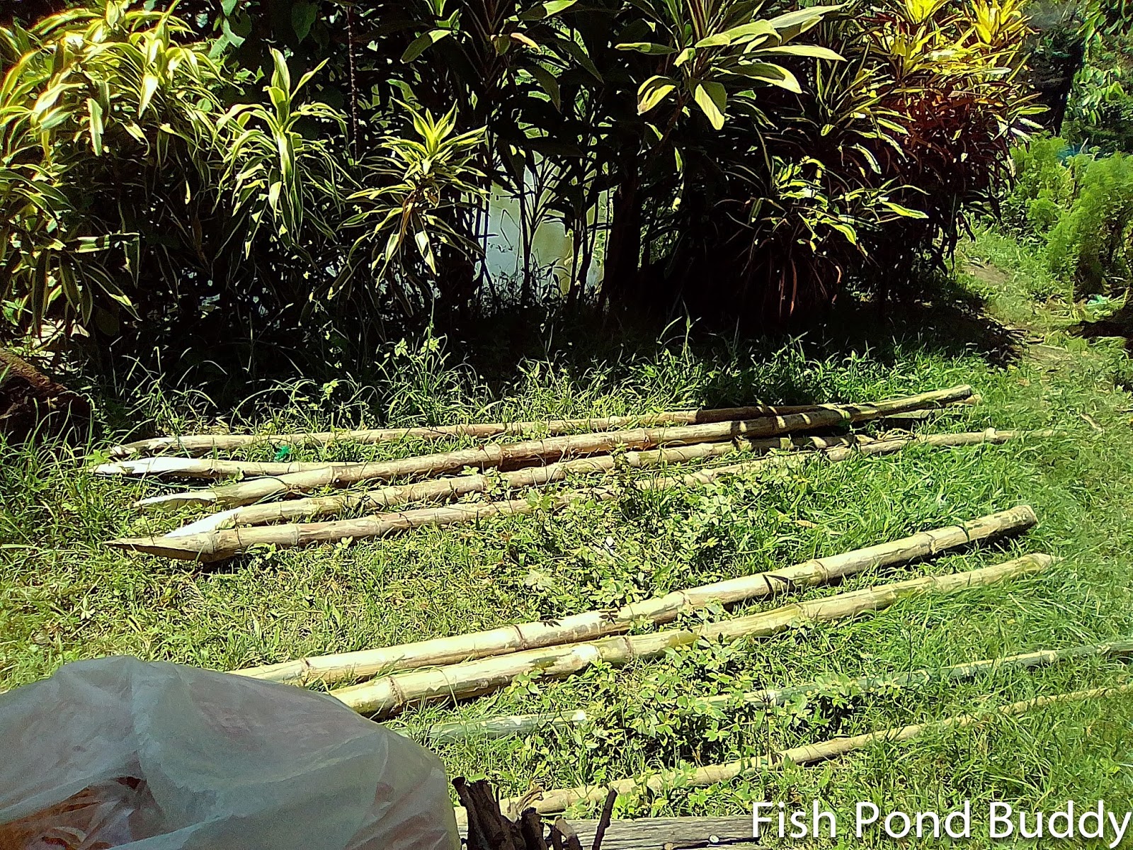 Fish Pond Buddy: How to Make a Milkfish (Bangus) Feeder Device