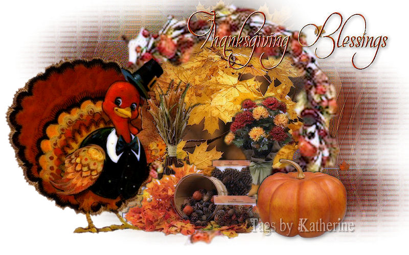 NEW TAGS - Septemeber through October