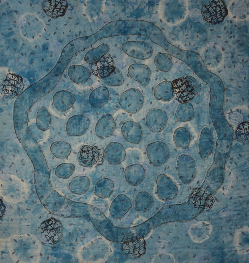 ART CLOTH MASTERY PROGRAM 2014: TEN VOICES FROM ONE: Cindy Ferguson