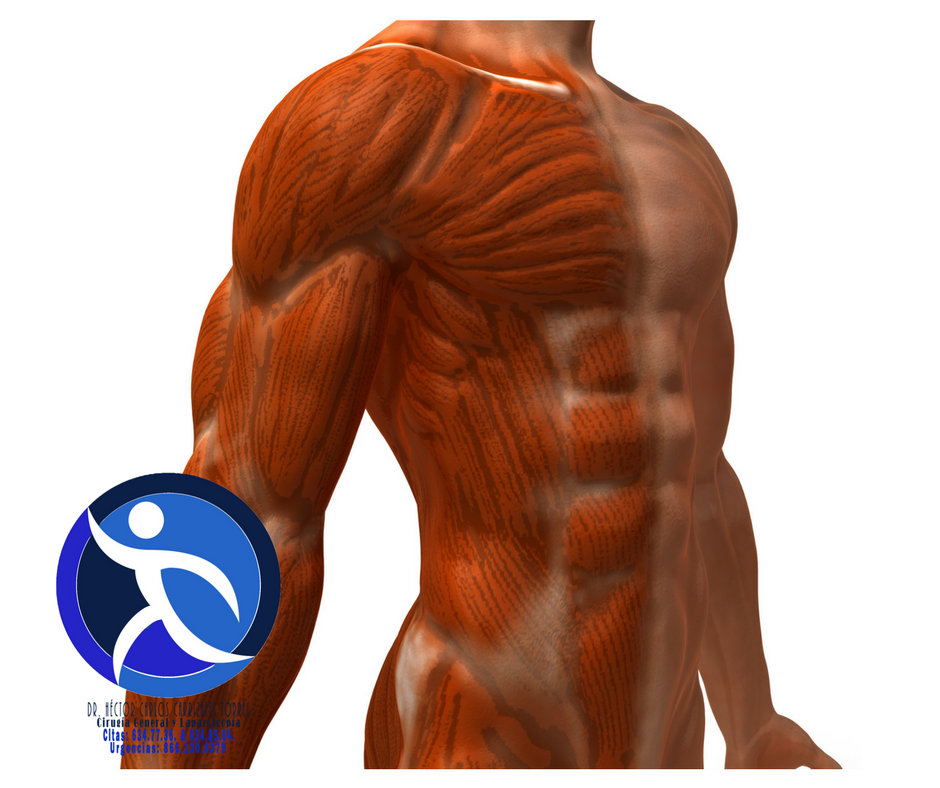 Dr. Héctor Carlos Carrizales Torres