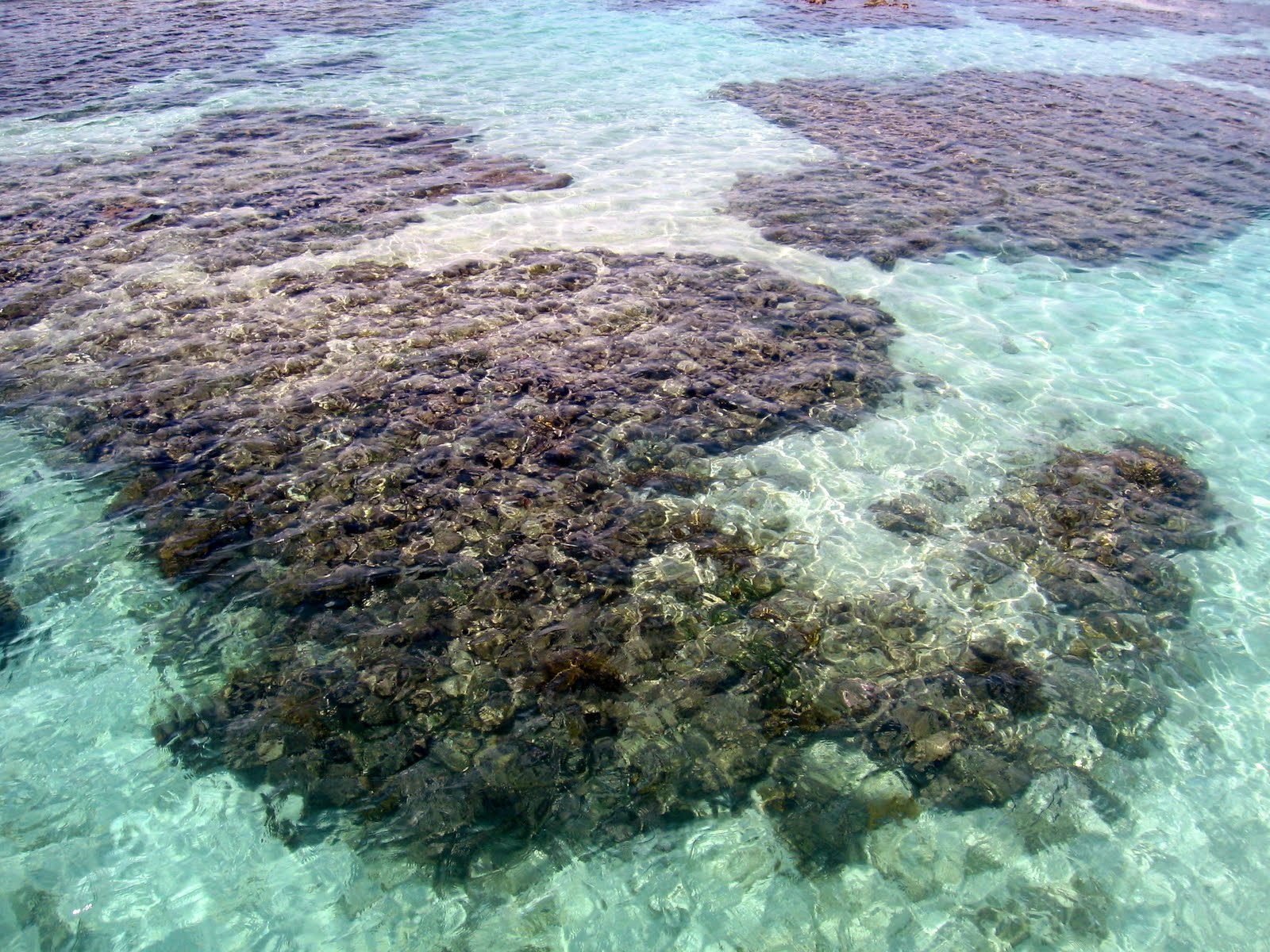 VIAJAR É...: Maragogi